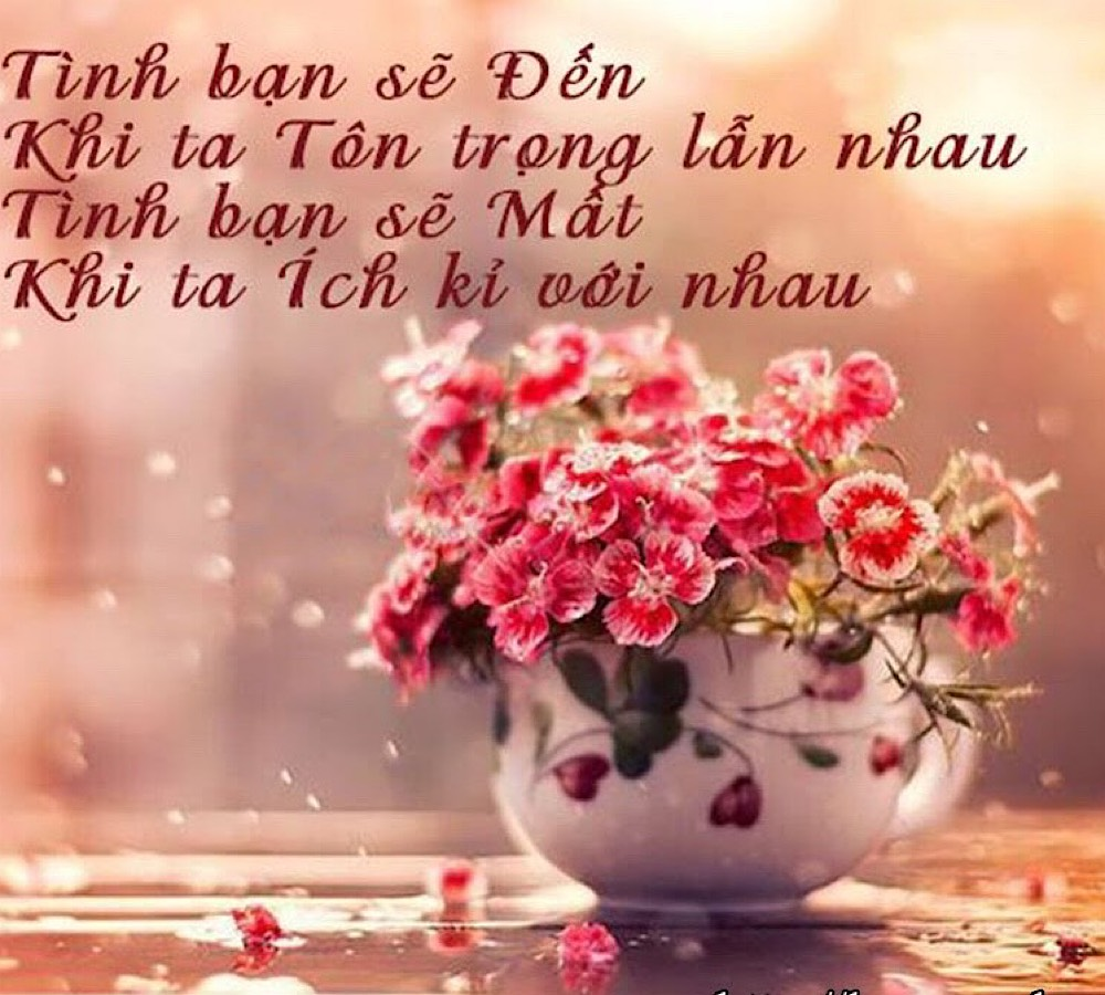 Khám Phá Những Câu Nói Hay Về Tình Bạn Đầy Ý Nghĩa Tiki