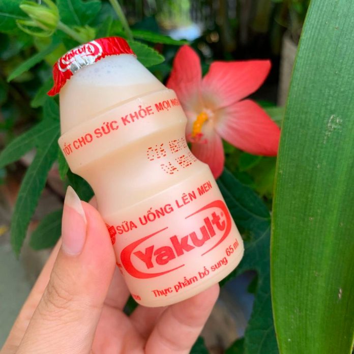 Nên uống Yakult khi nào? Cách uống Yakult đúng nhất | TIKI