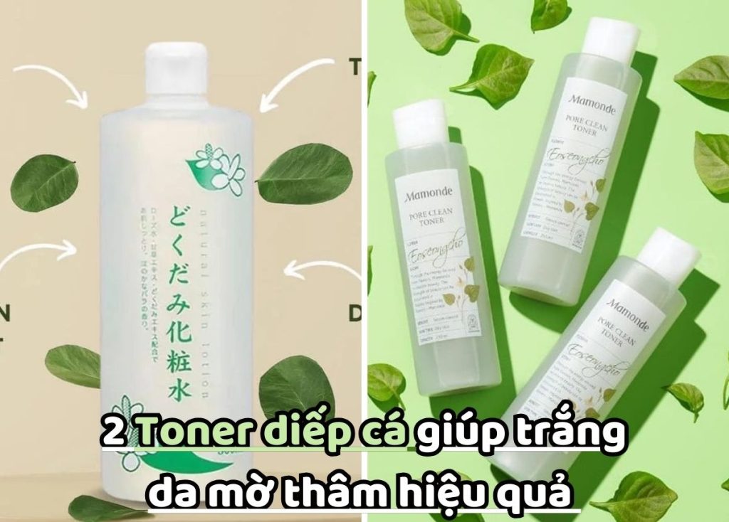 Review TOP 2 Toner Diếp Cá Giúp Trắng Da, Mờ Thâm Tốt Nhất | TIKI