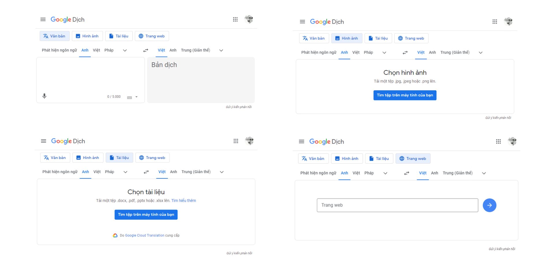 TOP 10 trang web dịch tiếng anh chuẩn xác, đánh giá cao | TIKI