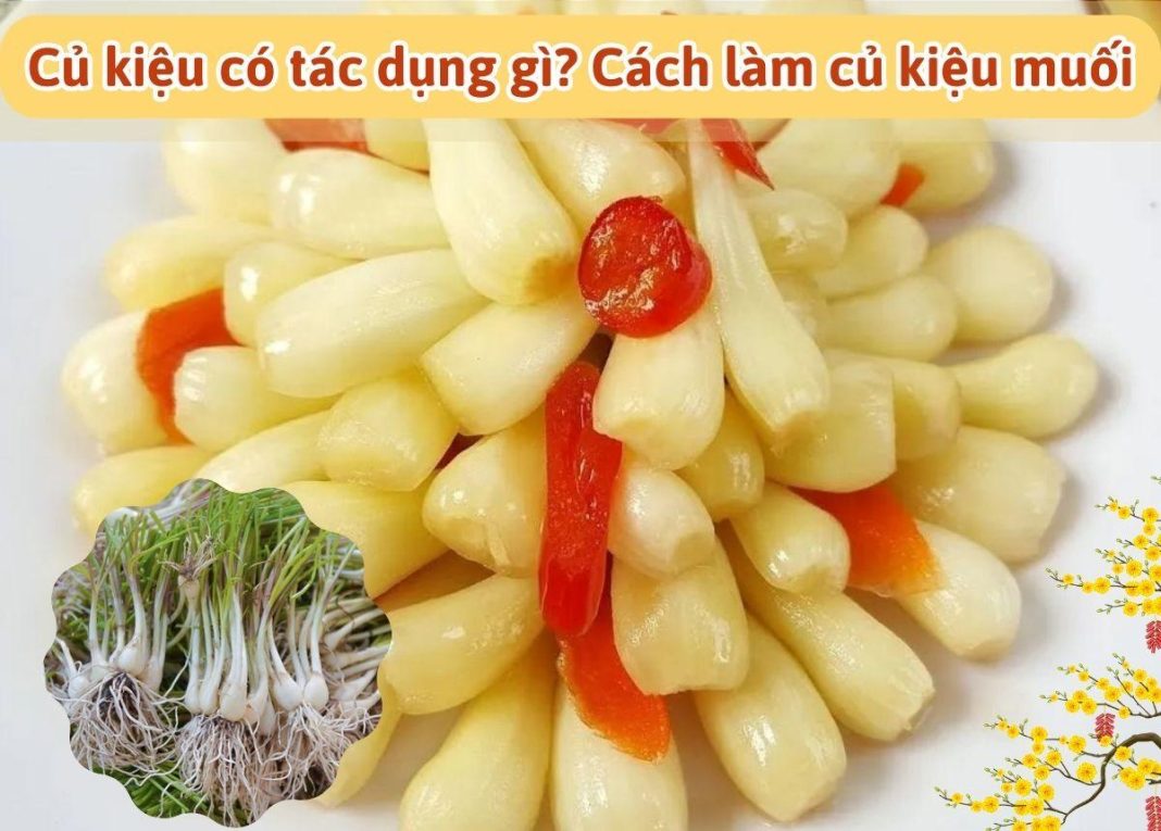 7 Tác Dụng Của Củ Kiệu Với Sức Khỏe, Cách Làm Kiệu Chua Ngọt | TIKI