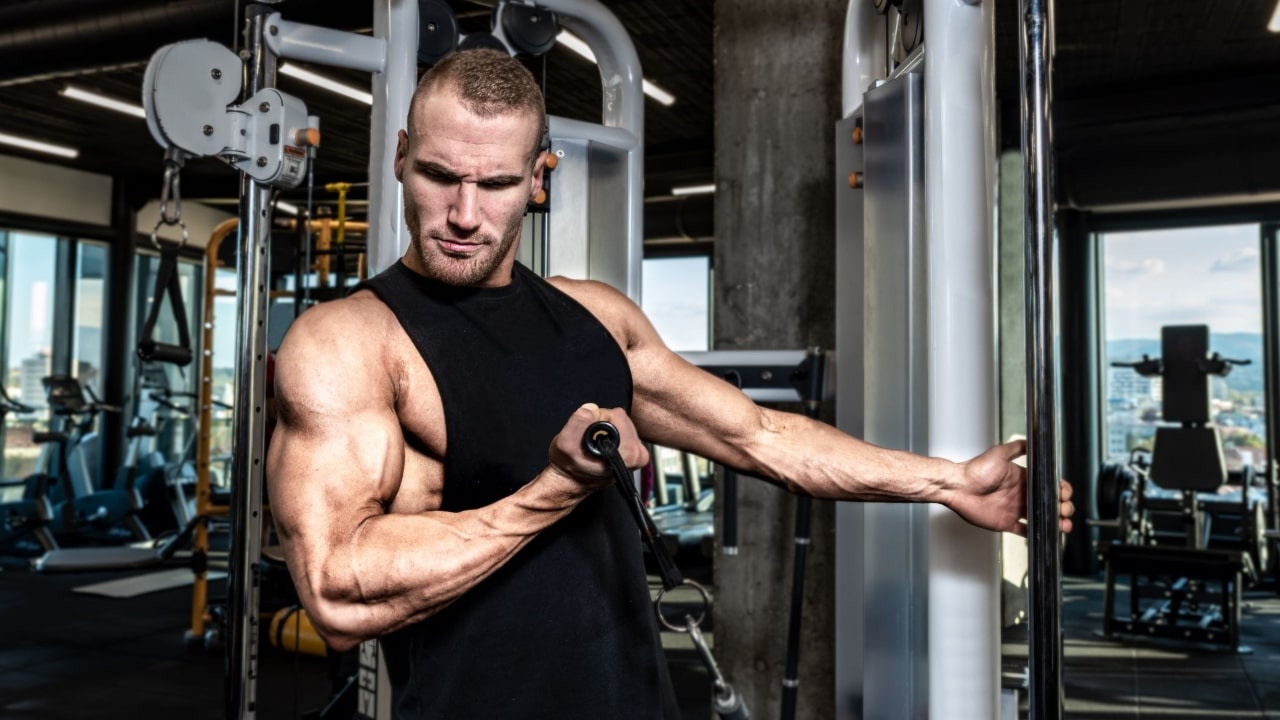 Cutting Là Gì? Gợi Ý Thực Đơn, Cách Tăng Cơ, Giảm Mỡ | TIKI