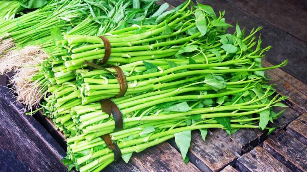 Rau muống bao nhiêu calo? Ăn nhiều rau muống có tốt không? | TIKI