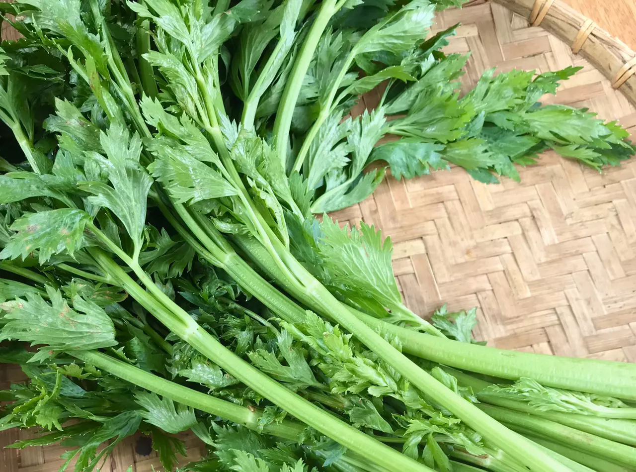 TOP 10 công dụng tuyệt vời của cần tây đối với sức khỏe | TIKI