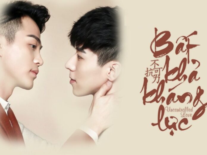 TOP 15+ Bộ Phim Đam Mỹ Hay Nhất "Đốn Tim" Mọi Hủ Nữ | TIKI