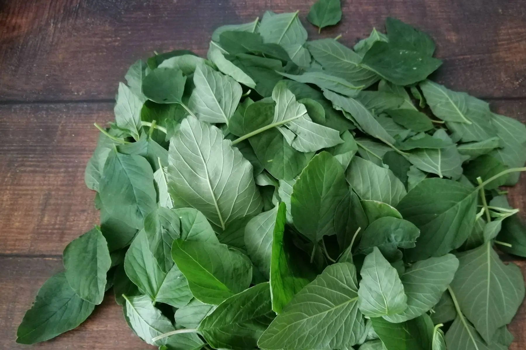 Rau dền có tác dụng gì? Công dụng & lưu ý khi dùng | TIKI