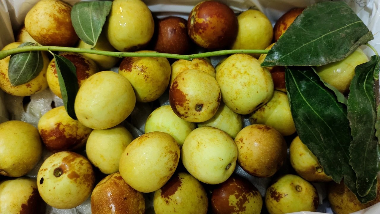 Táo tàu là gì? Lợi ích, công dụng và những lưu ý khi ăn mà bạn nên biết ...