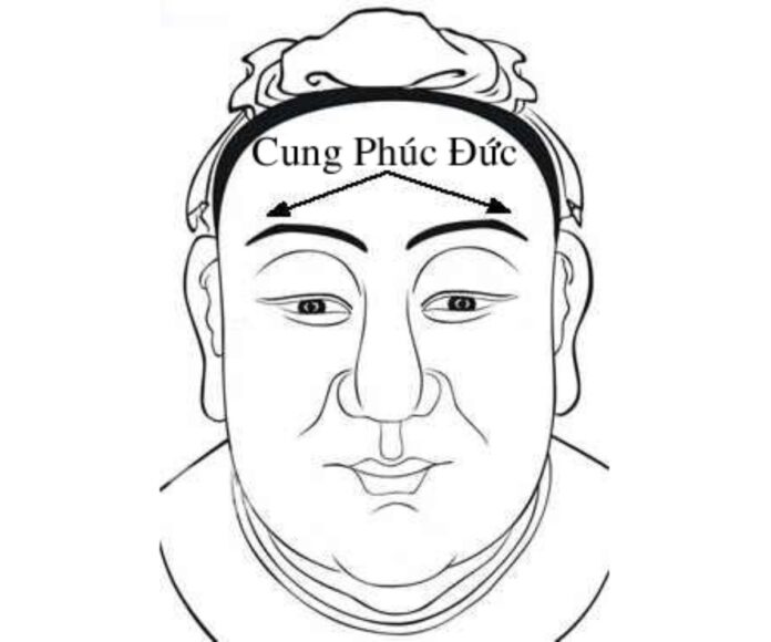 Cung Phúc Đức là gì? Luận giải Cung Phúc Đức chi tiết nhất | TIKI