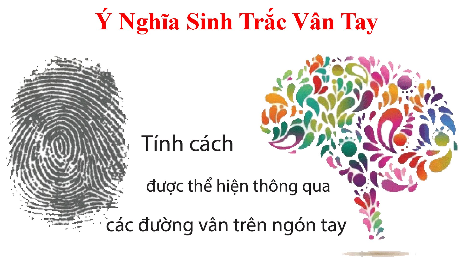 Vân tay đại bàng là gì? Cách nhận diện chủng vân tay đặc biệt này | TIKI