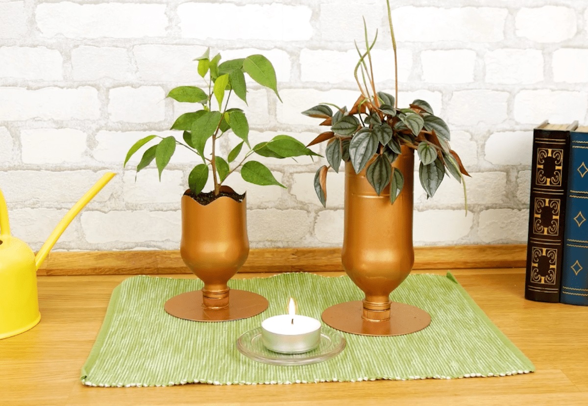 11 cách tái chế chai nhựa trồng cây tiện lợi, đơn giản và độc đáo | TIKI