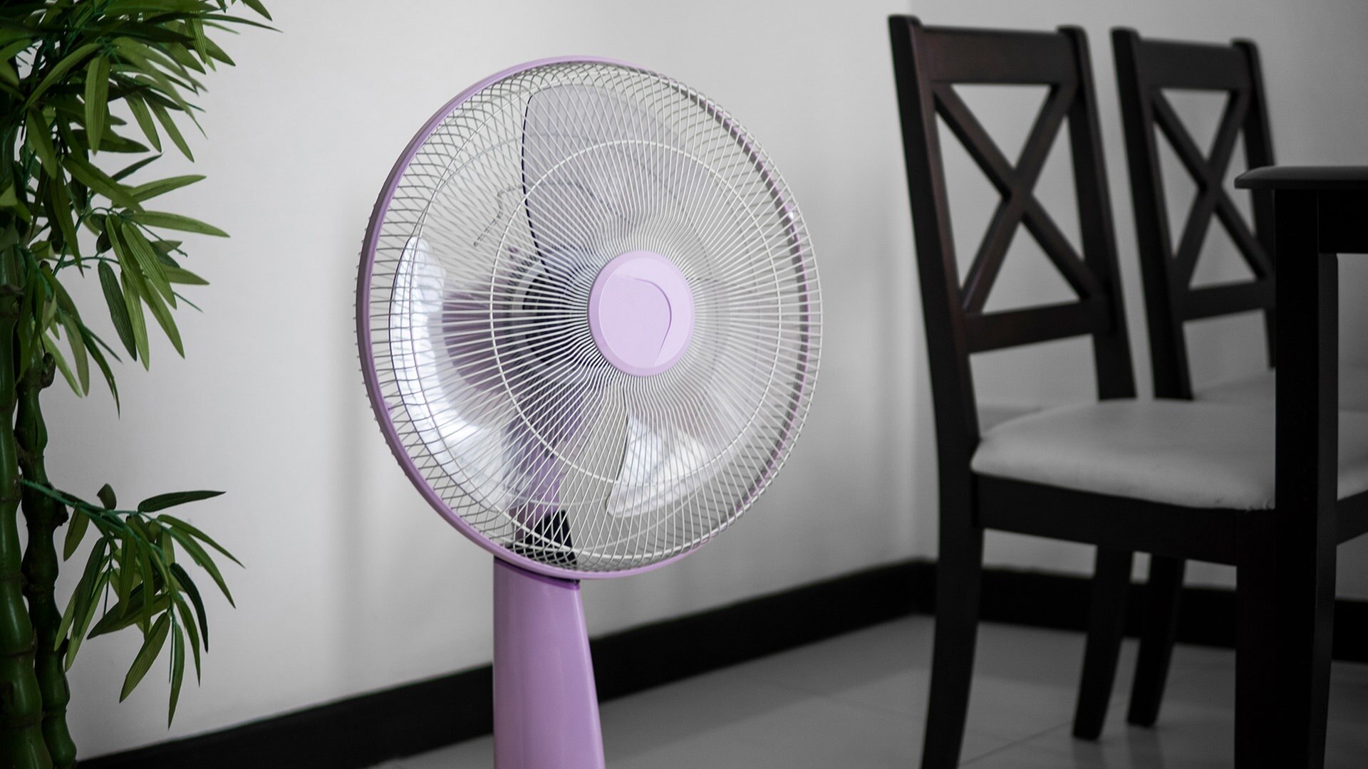 Hướng dẫn vệ sinh quạt điện đúng cách, đơn giản tại nhà | TIKI