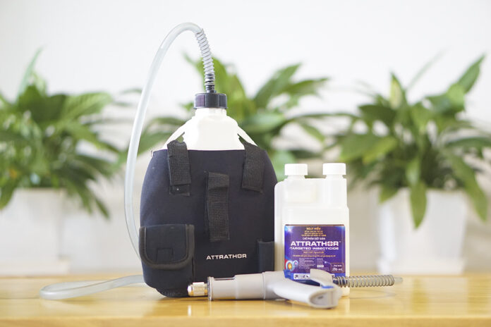 9 Loại thuốc diệt gián tận gốc, an toàn, hiệu quả, tốt nhất hiện nay | TIKI